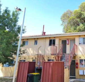 Best Roofing Services in WA | PGS Maintenance